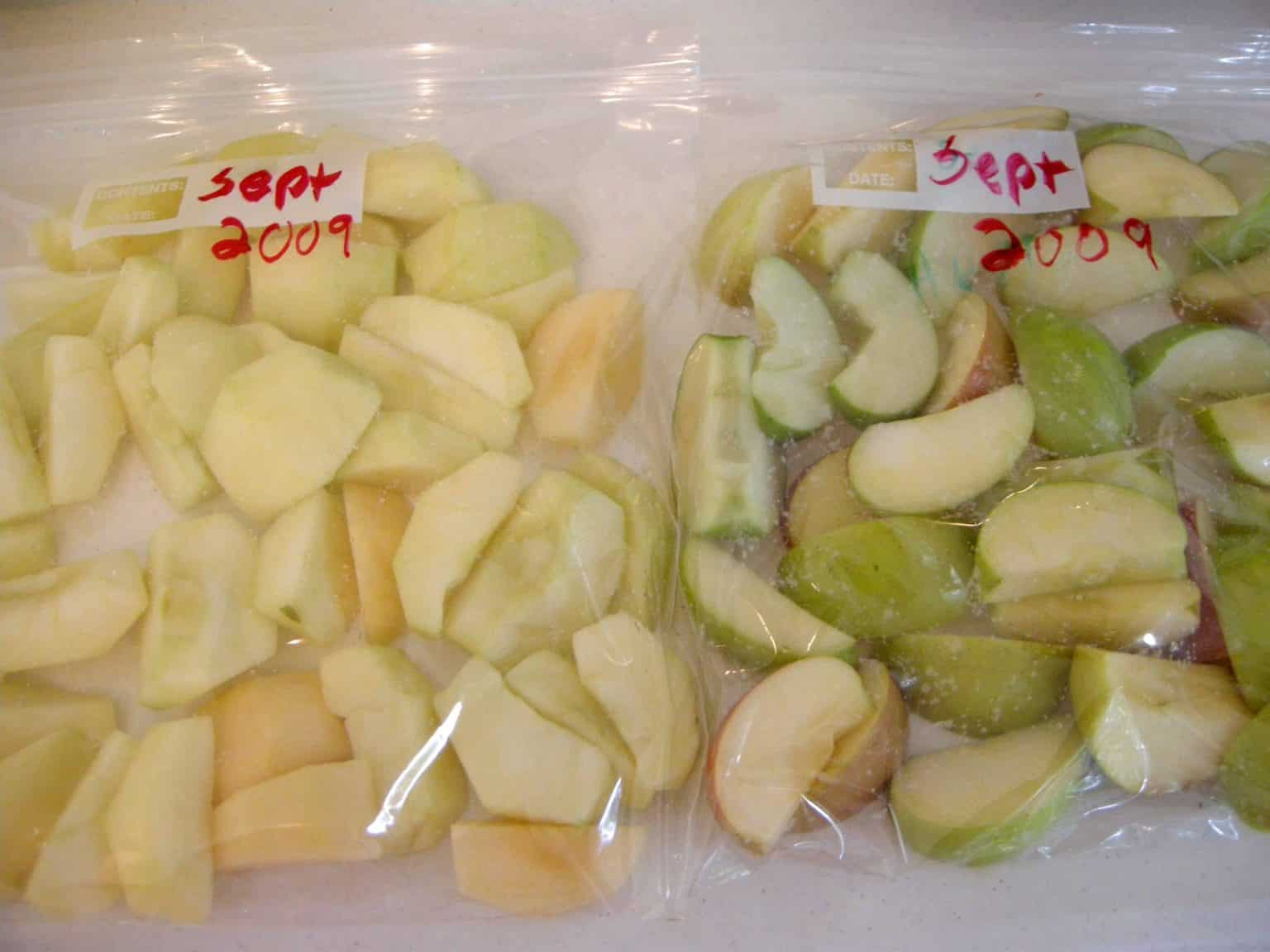 Freezing Apples - Southern Plate