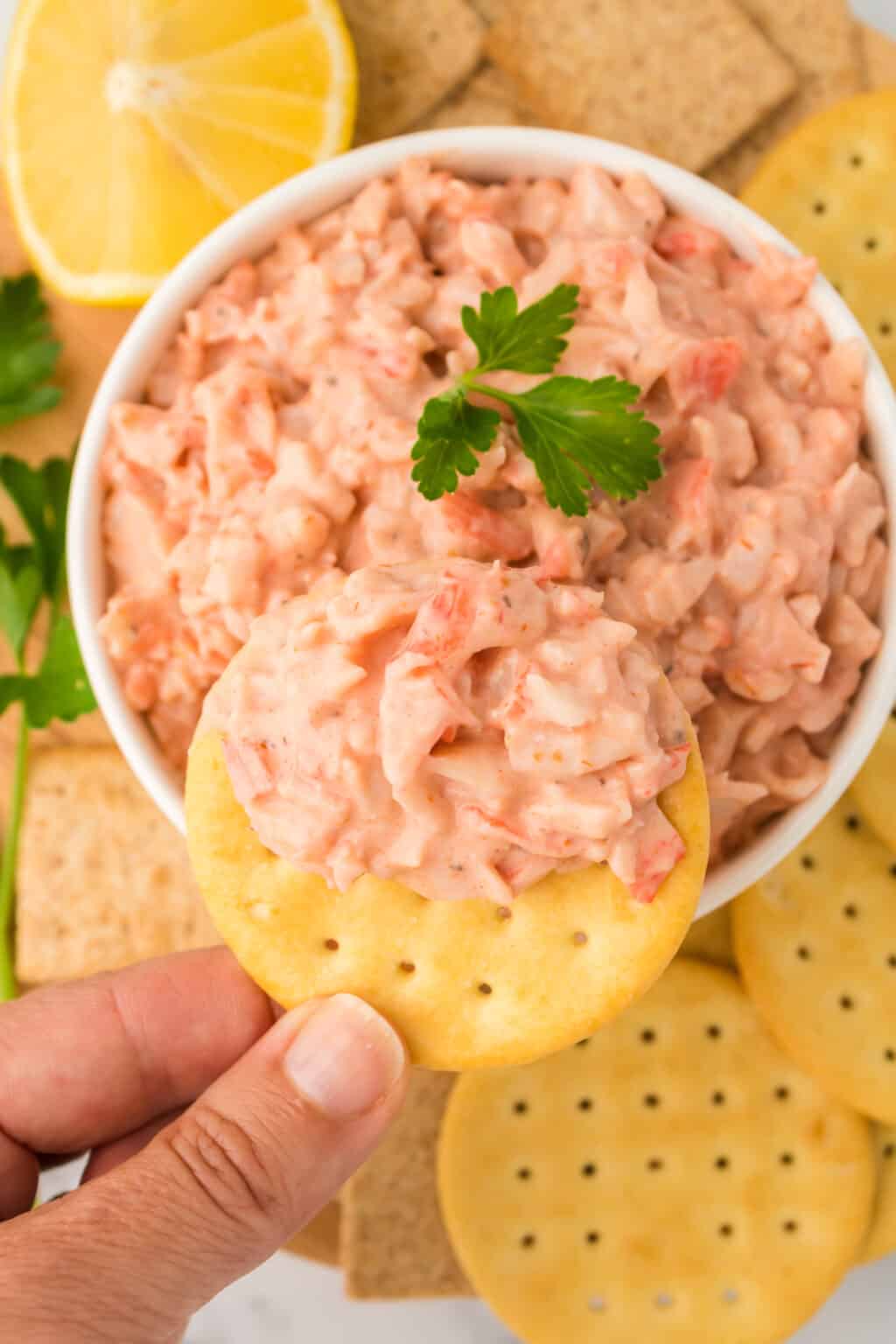 Cold Crab Dip Recipe Southern Plate cold-crab-dip-recipe-southern-plate
