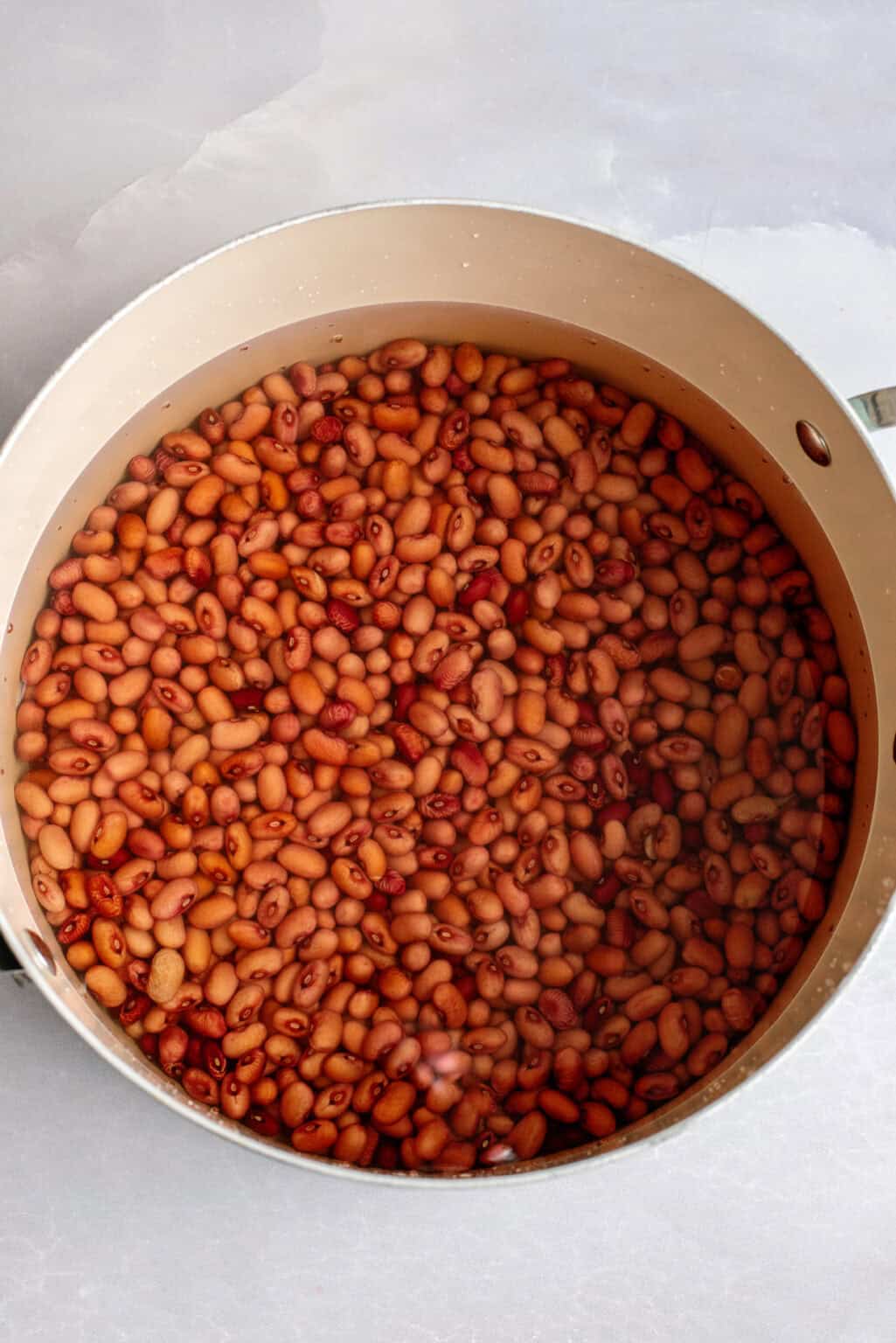 Easy Red Beans and Rice Recipe - Southern Plate