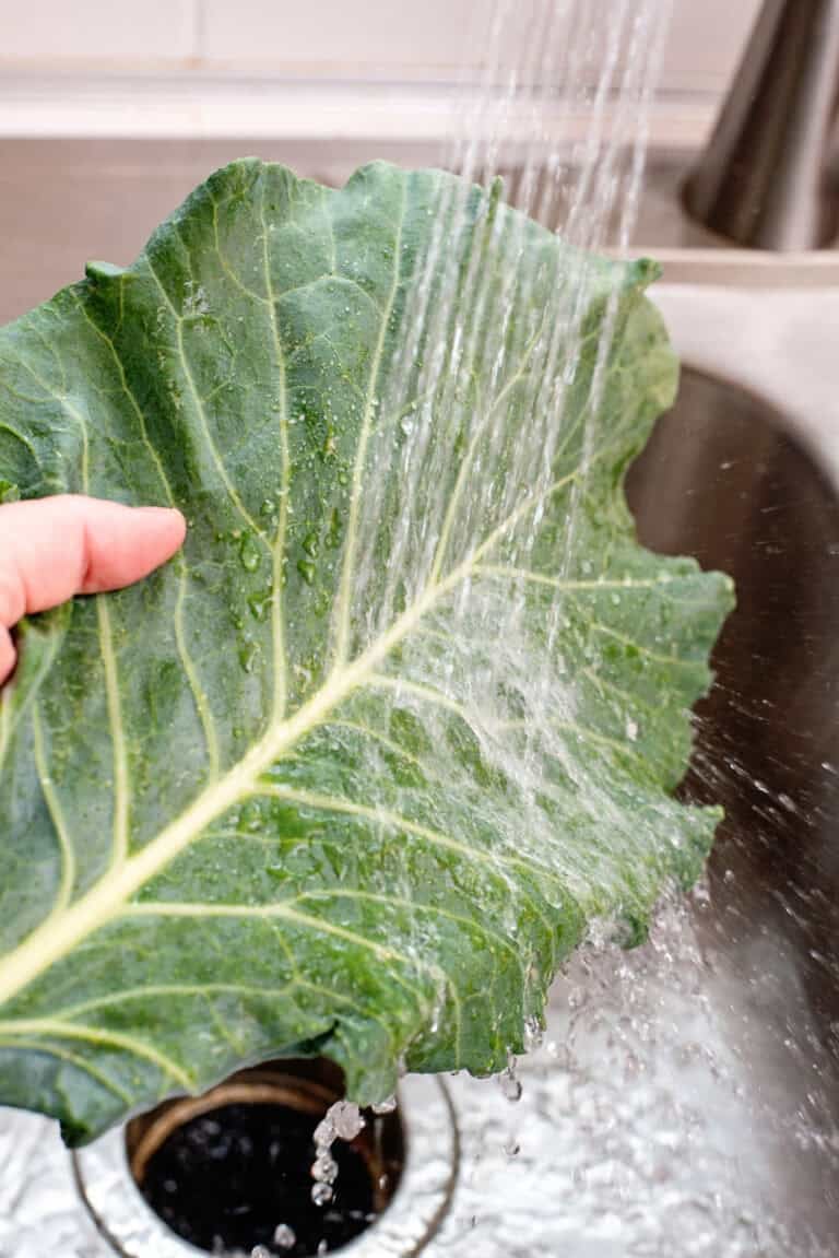 Traditional Southern Collard Greens - Southern Plate