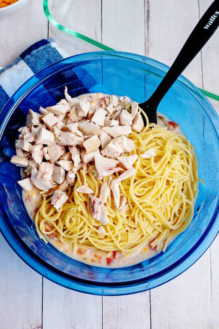 Chicken Spaghetti - Southern Plate