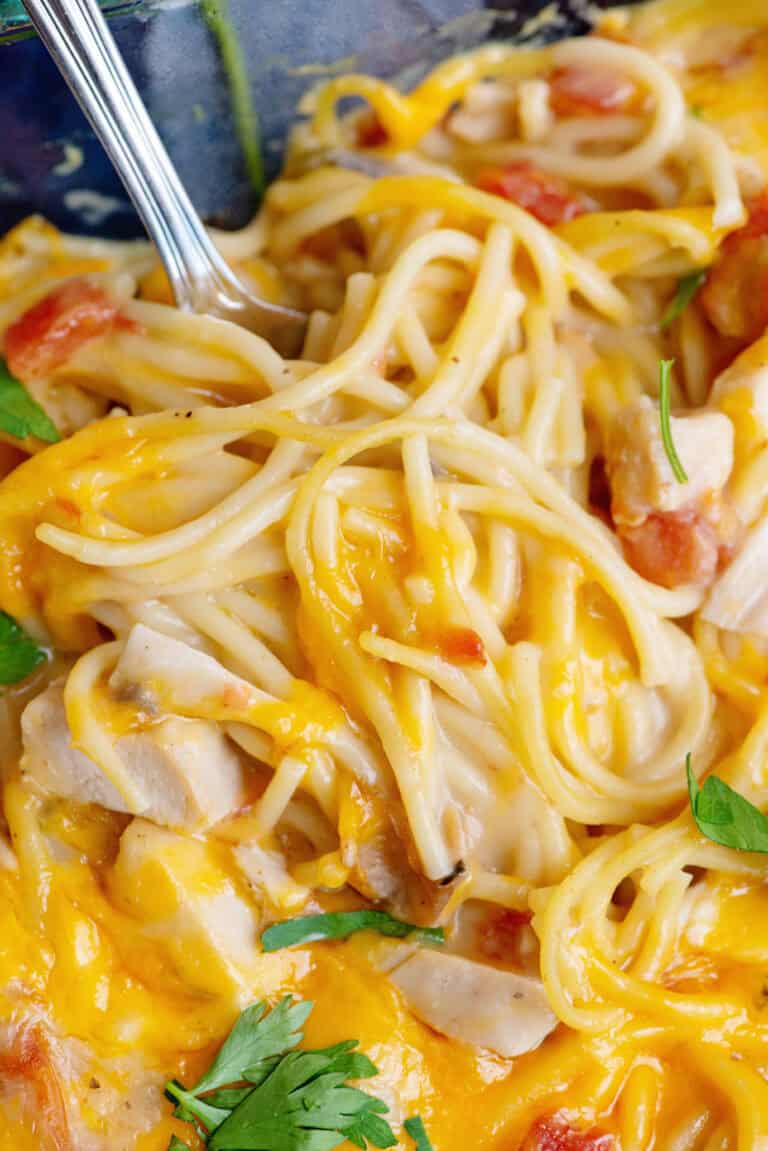 Chicken Spaghetti - Southern Plate